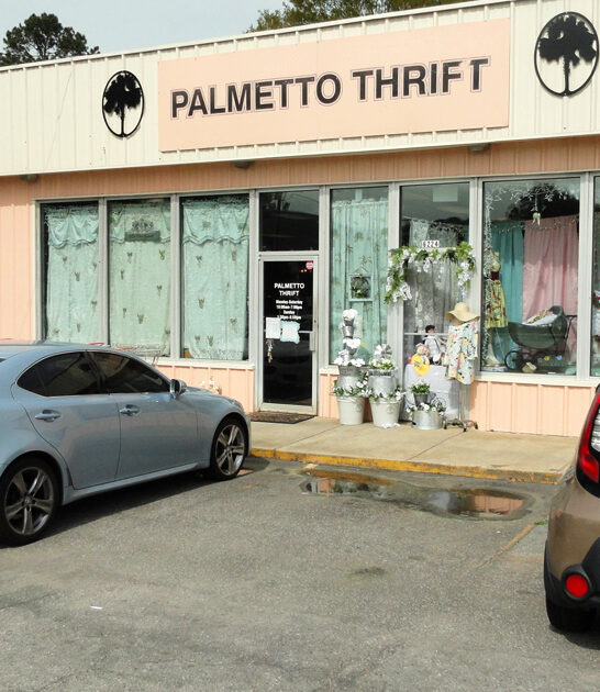 south carolina secondhand bargains ftr