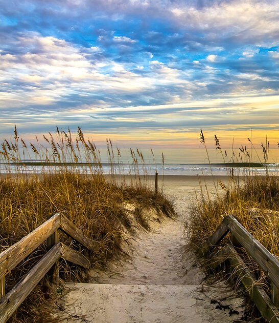 south carolina surreal park ftr