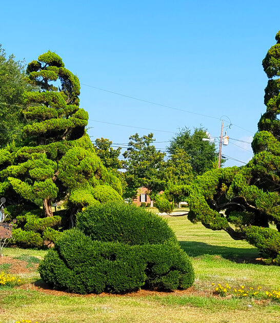 south carolina topiary garden ftr