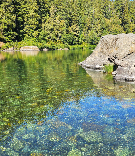 state park california famous ftr