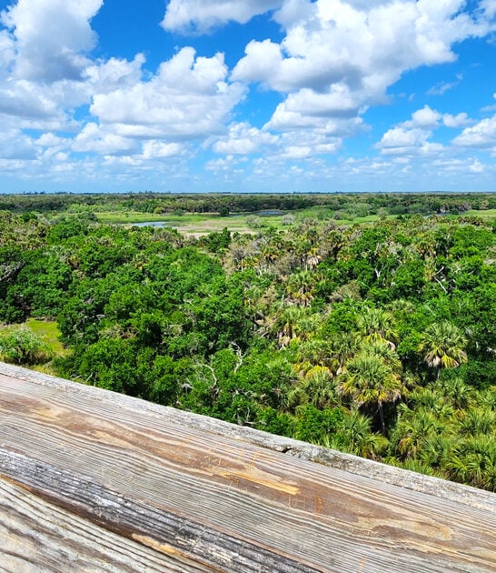 state park florida paradise FTR