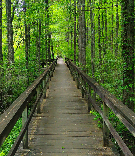 state park mississippi little ftr