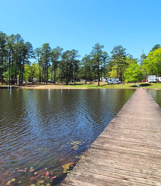 state park mississippi painting ftr