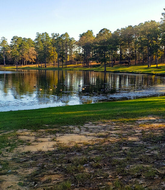 state park mississippi stunning ftr