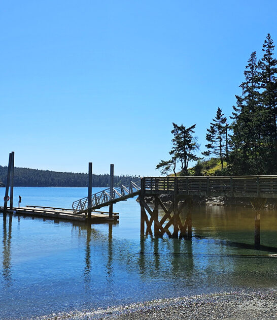 state park washington painting FTR