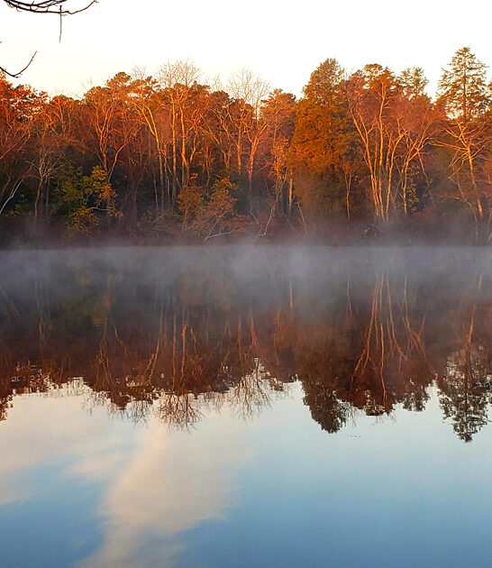 state parks new jersey ftr