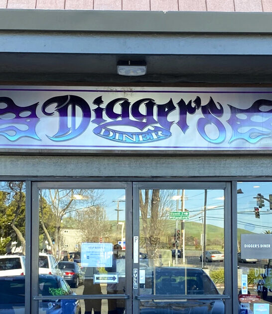 steak diner california fried ftr