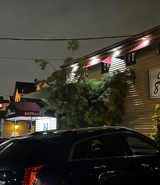 steakhouses new jersey homey ftr