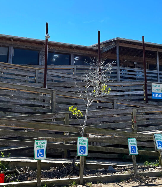 stew restaurant south carolina ftr