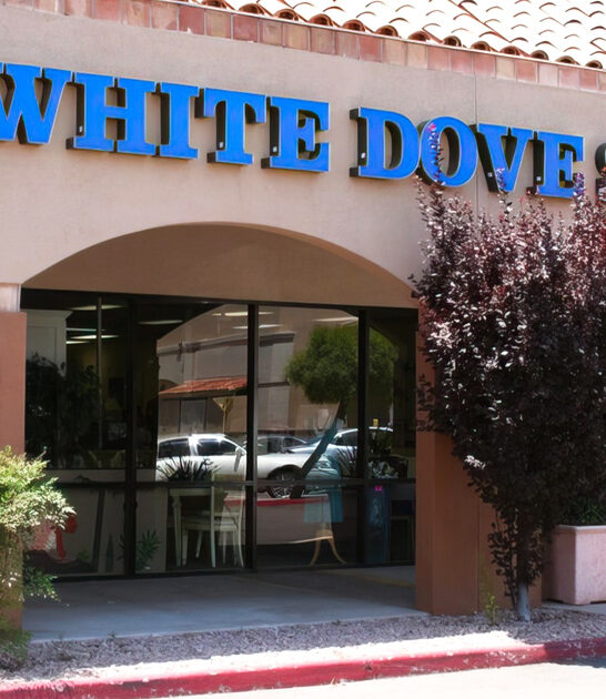 store arizona enormous thrift ftr