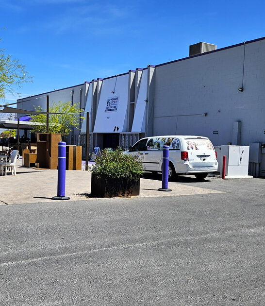 store arizona good thrift ftr