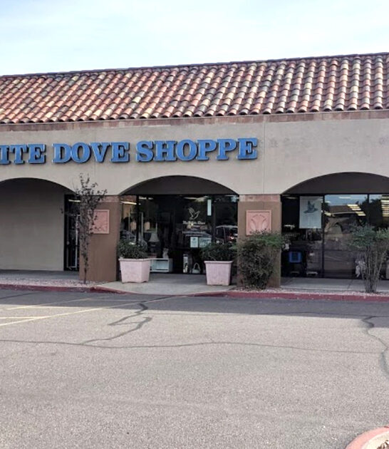 store enormous thrift arizona ftr