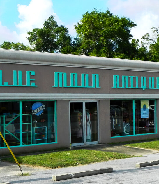 store florida dreams bargain ftr