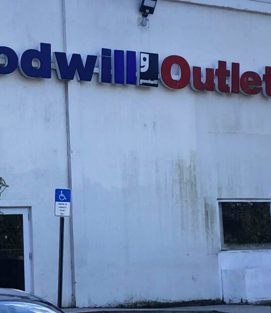 store florida underrated fancy ftr