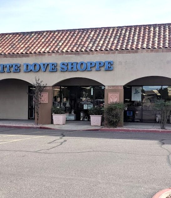 store massive thrift arizona ftr