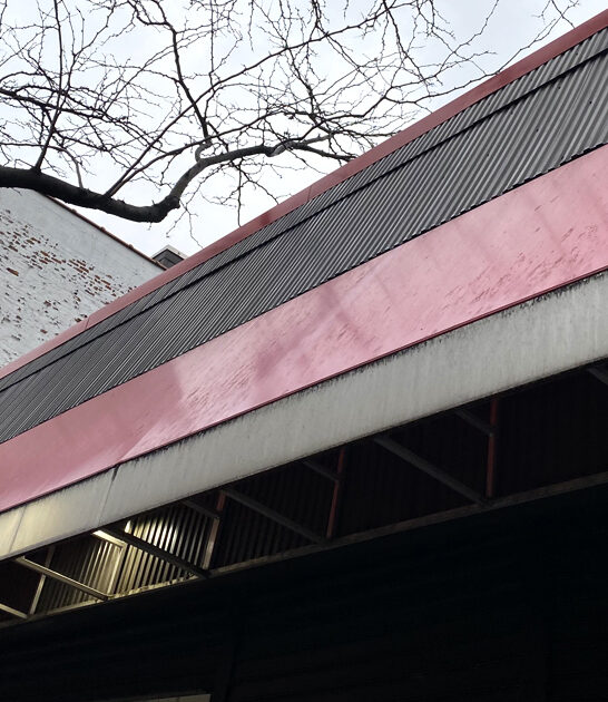 store new york rare ftr