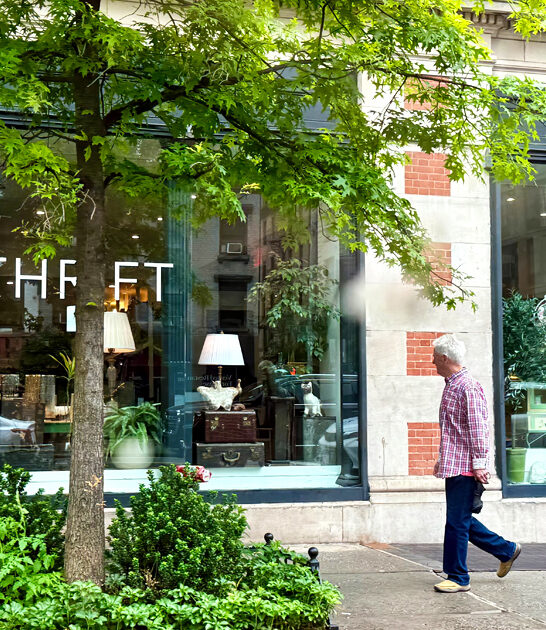 stores new york thrift ftr