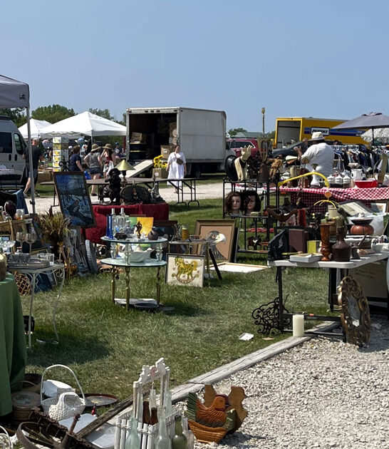 stretch dollars market illinois ftr