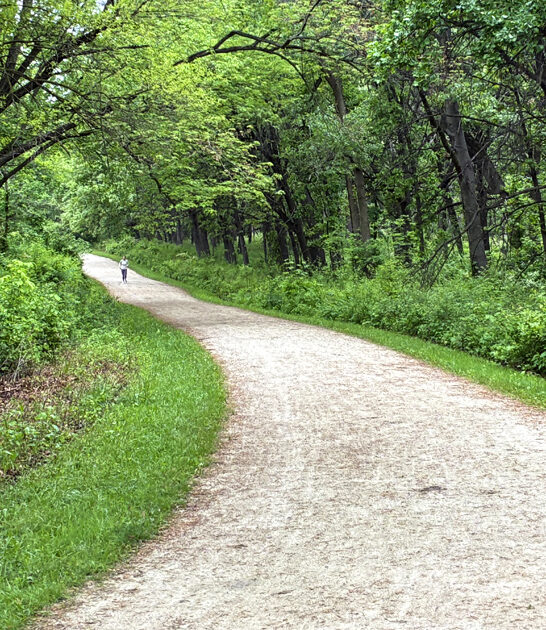 stunning illinois nature preserve ftr