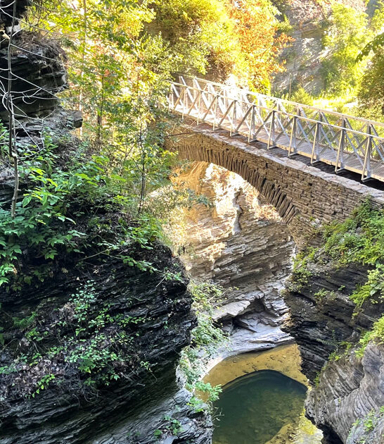 stunning new york park ftr