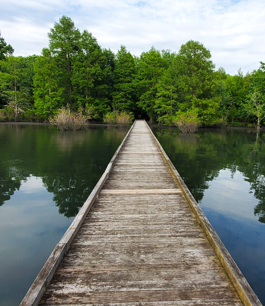 stunning park north carolina ftr