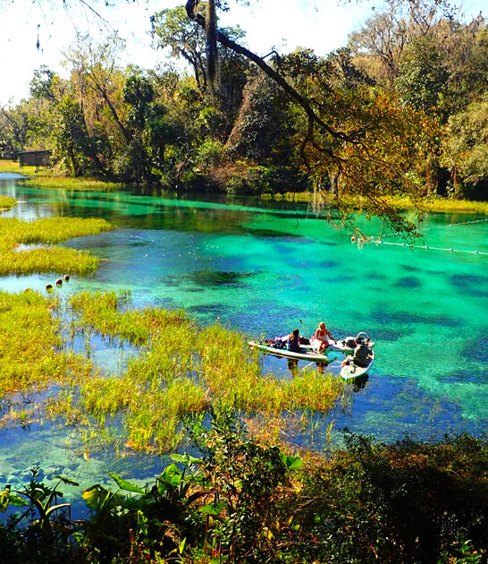 stunning spring florida surreal ftr
