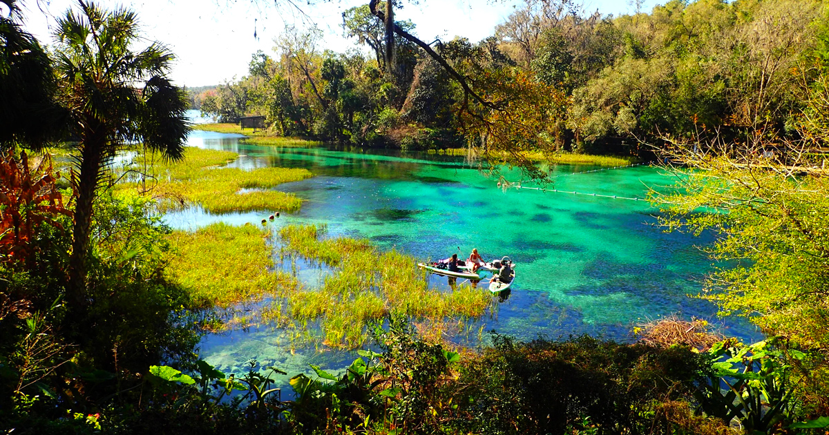 The Stunning Spring In Florida That's So Surreal, It's Straight Out Of ...