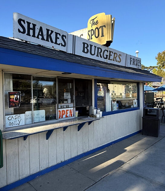 succulent amazing fries california ftr