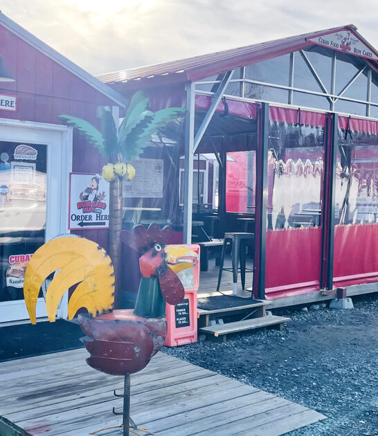 succulent georgia beef empanada ftr