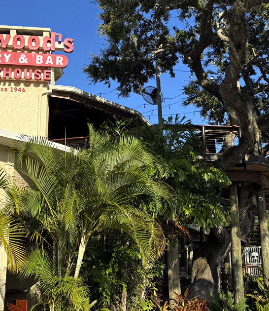 superb florida lime pies ftr