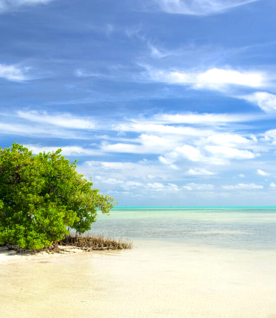 surreal florida beach escape ftr