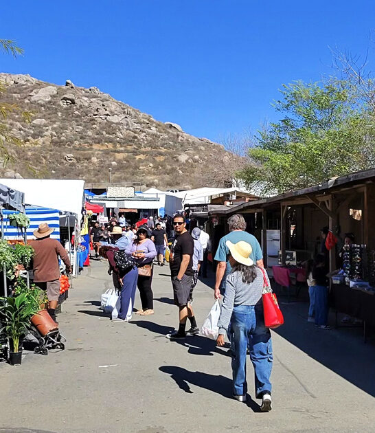 swap meet california underrated ftr