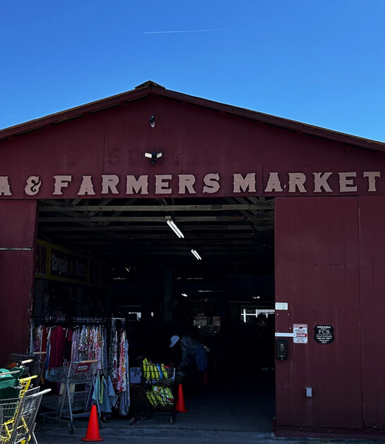 swap meet florida dream FTR