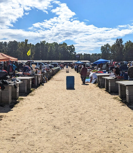 swap south carolina drive ftr