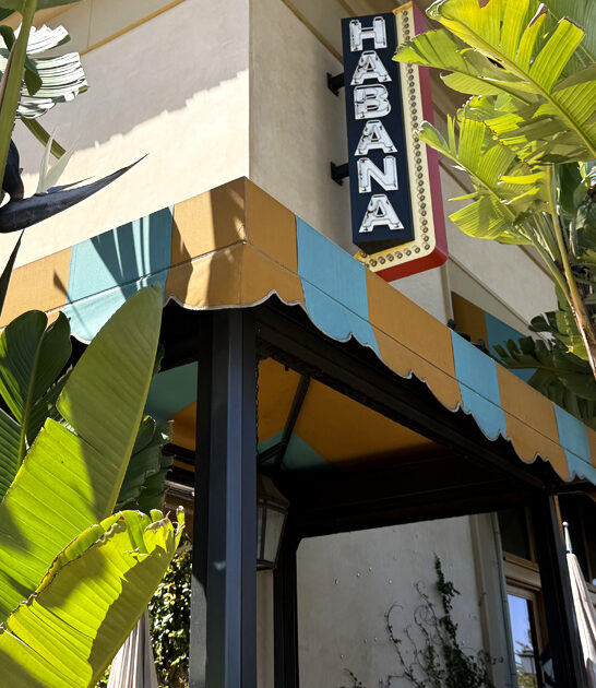 tastiest vegetable empanadas california ftr