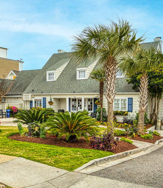 tasty meals south carolina ftr