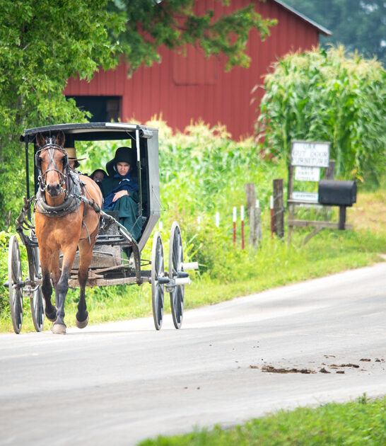 tennessee amish food town ftr