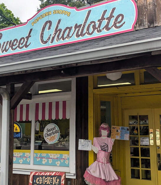 tennessee soda shops budget ftr