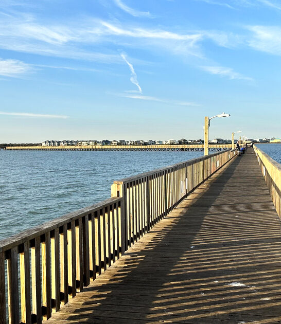 texas park dreamy painting ftr