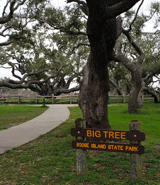 texas park stress disappear ftr