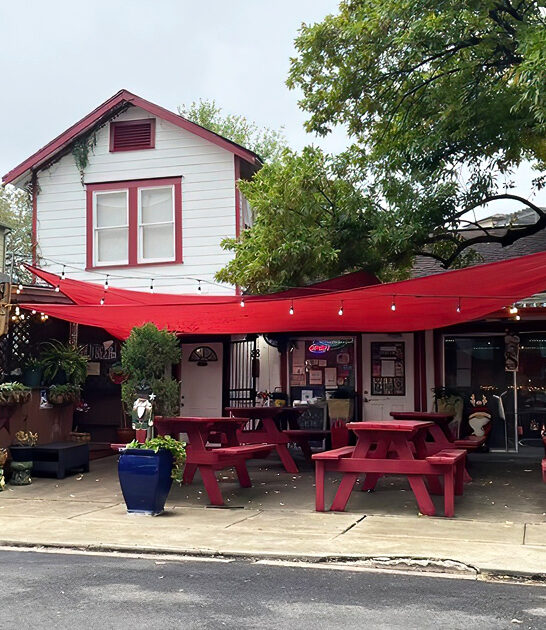 texas tastiest onion rings ftr