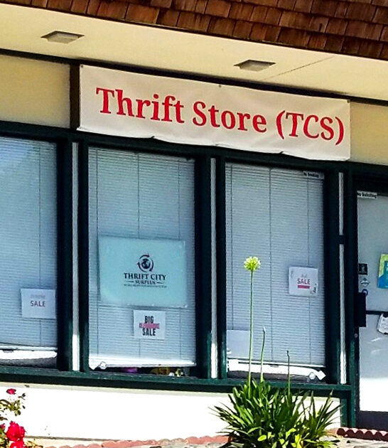 thrift bargain hunters california ftr