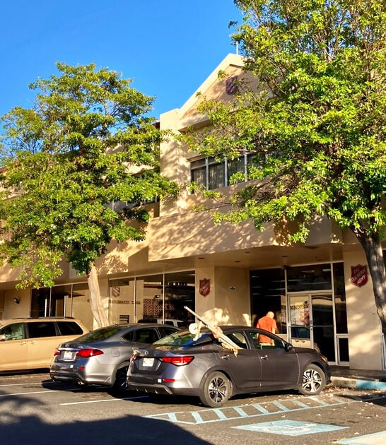 thrift great store hawaii ftr