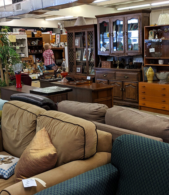 thrift hunter florida paradise ftr