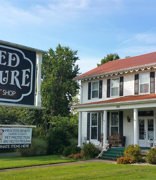 thrift kentucky stores gigantic ftr