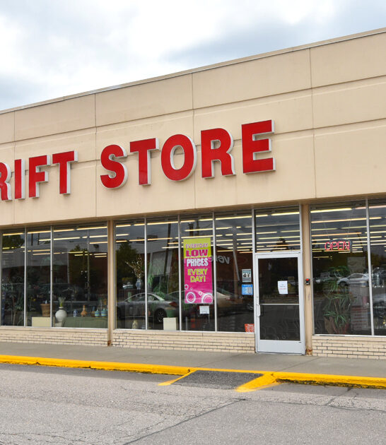 thrift michigan store ftr