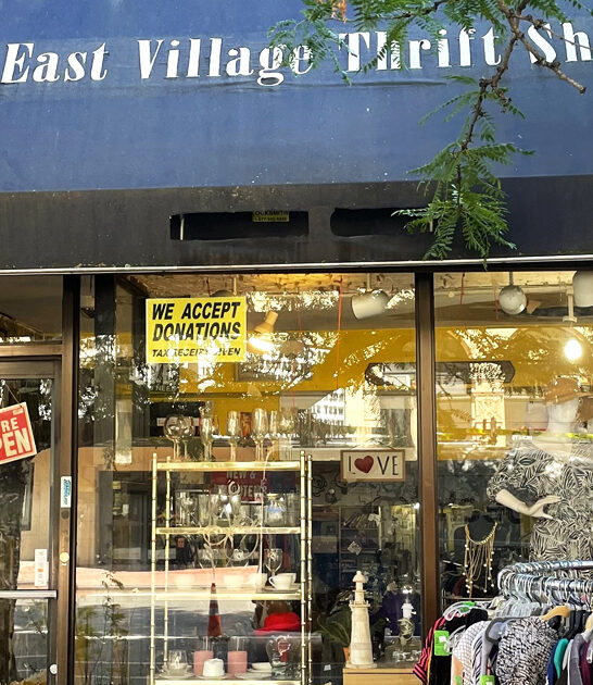 thrift paradise new york ftr