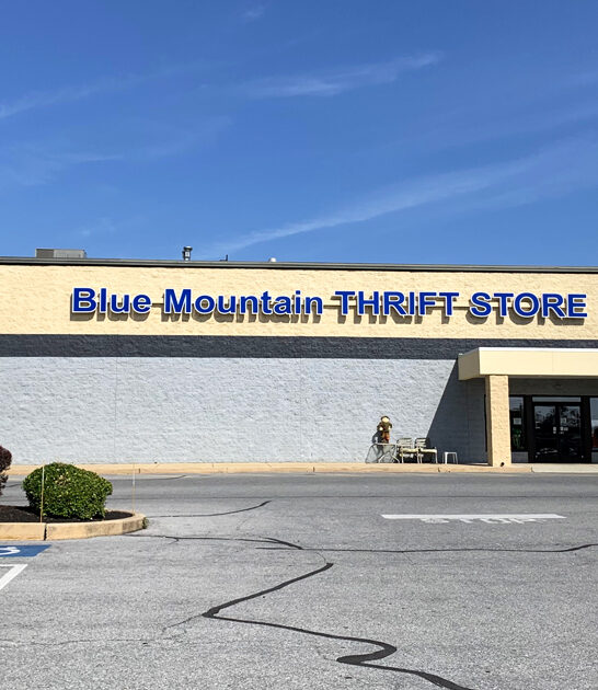 thrift shop pennsylvania bargains ftr