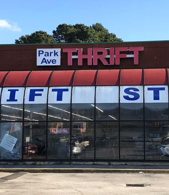 thrift shopping georgia journey ftr