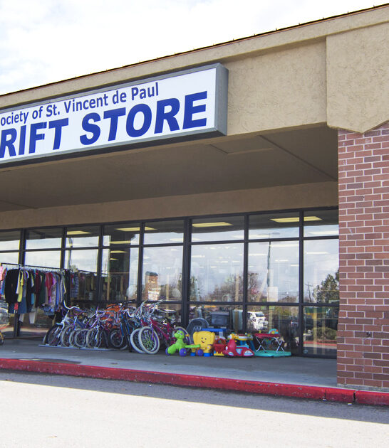 thrift store bargain idaho ftr